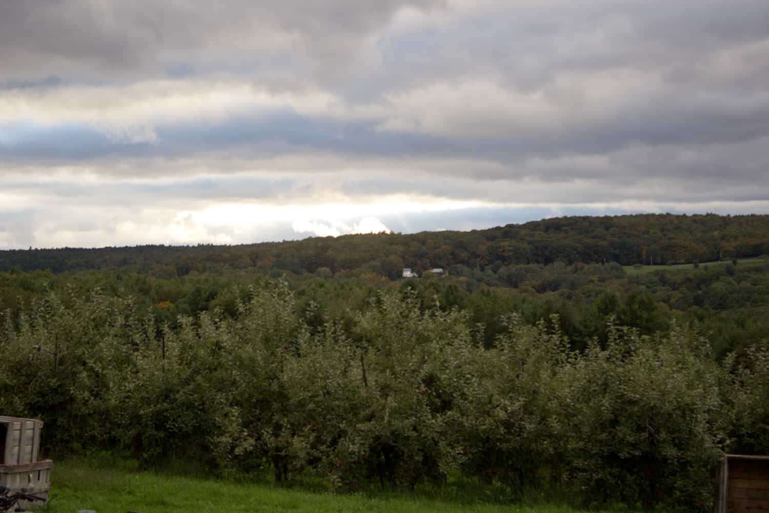 6 Reasons Why This Is Your One Stop Vermont Fall Foliage Experience ...