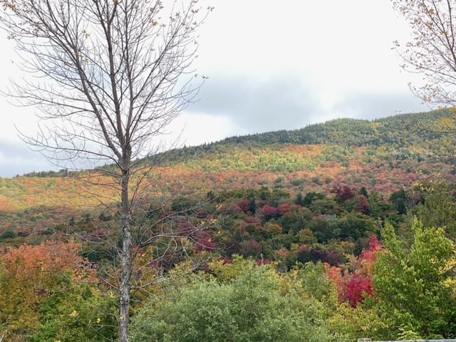 2021 Fall Foliage: Colors Continue to Grow | Vermont.com