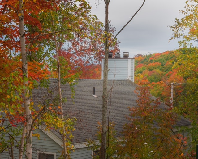 2021 Foliage Season: Peak Colors Across Vermont | Vermont.com