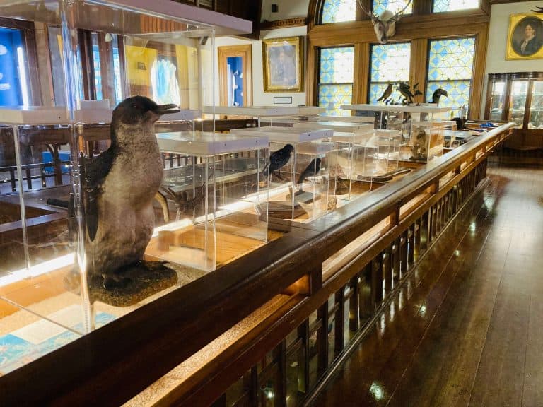 Best Guide to the Northeast Kingdom | Vermont.com