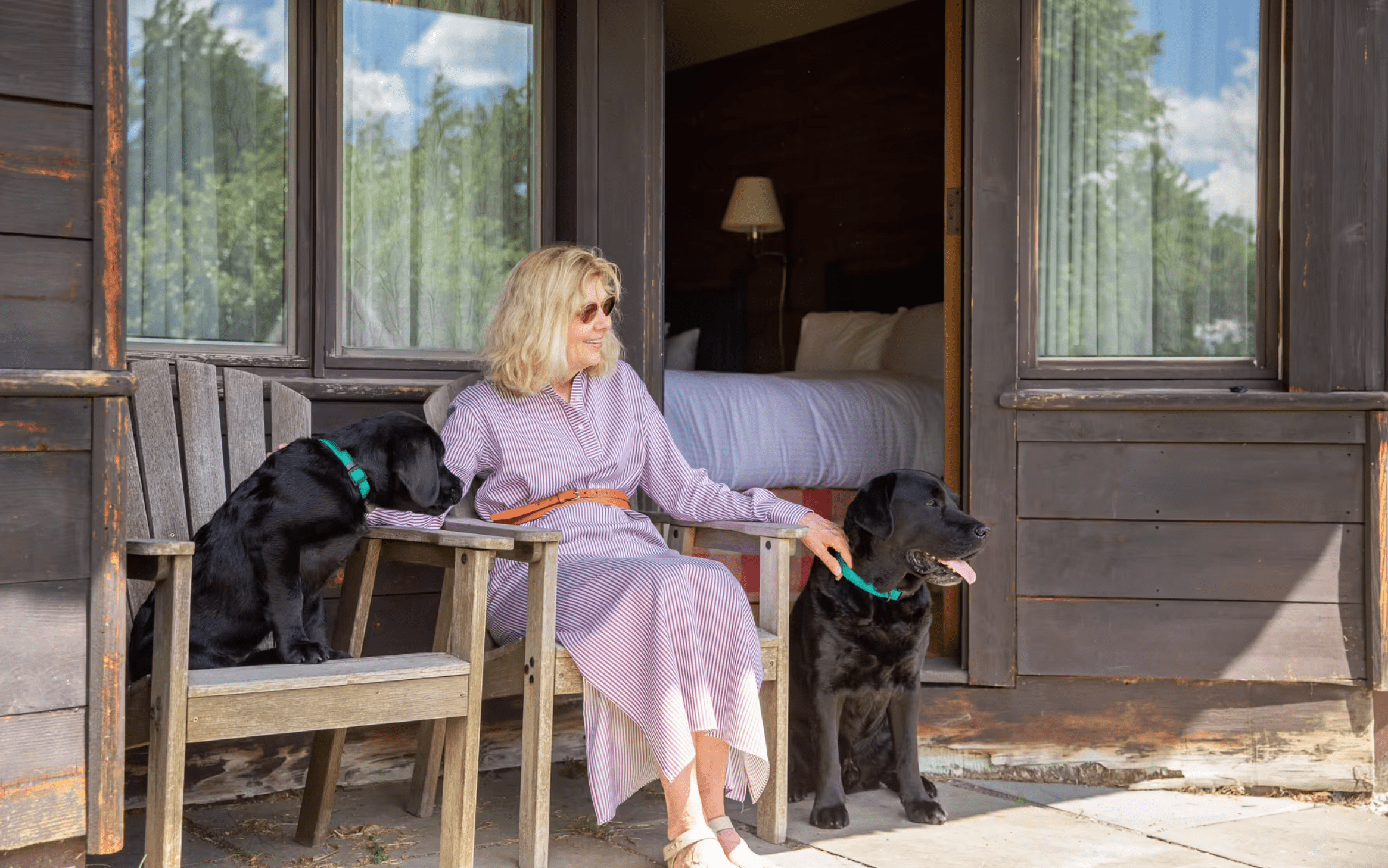 11 Dog-Friendly Vermont Lodging Options for Your Next Vacation ...