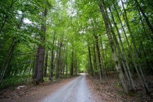 Discover Unforgettable Summer Packages at Basin Harbor Resort | Vermont.com