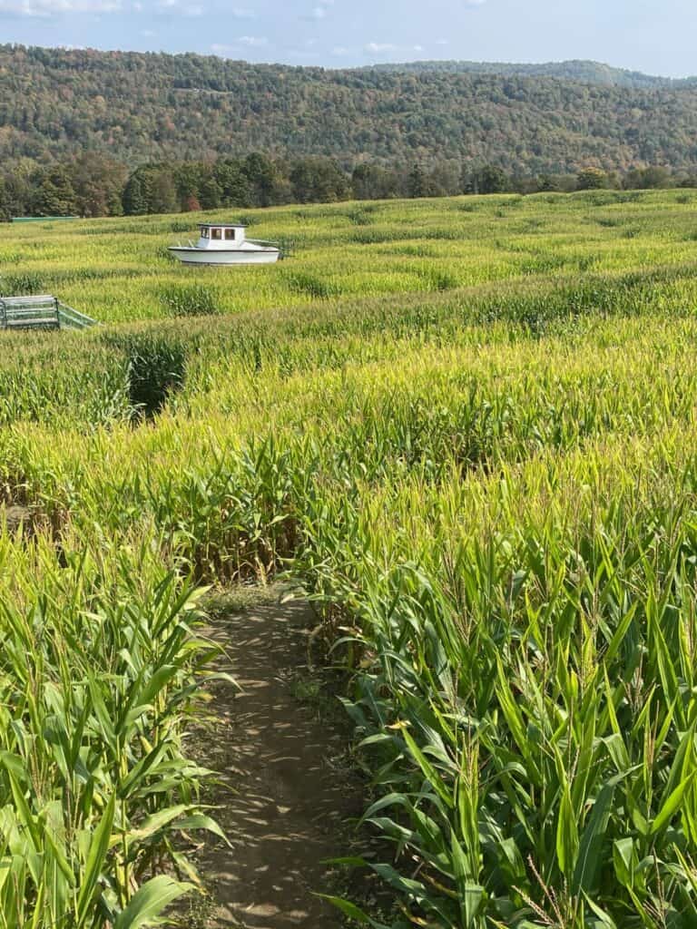 Foliage Report | Vermont.com