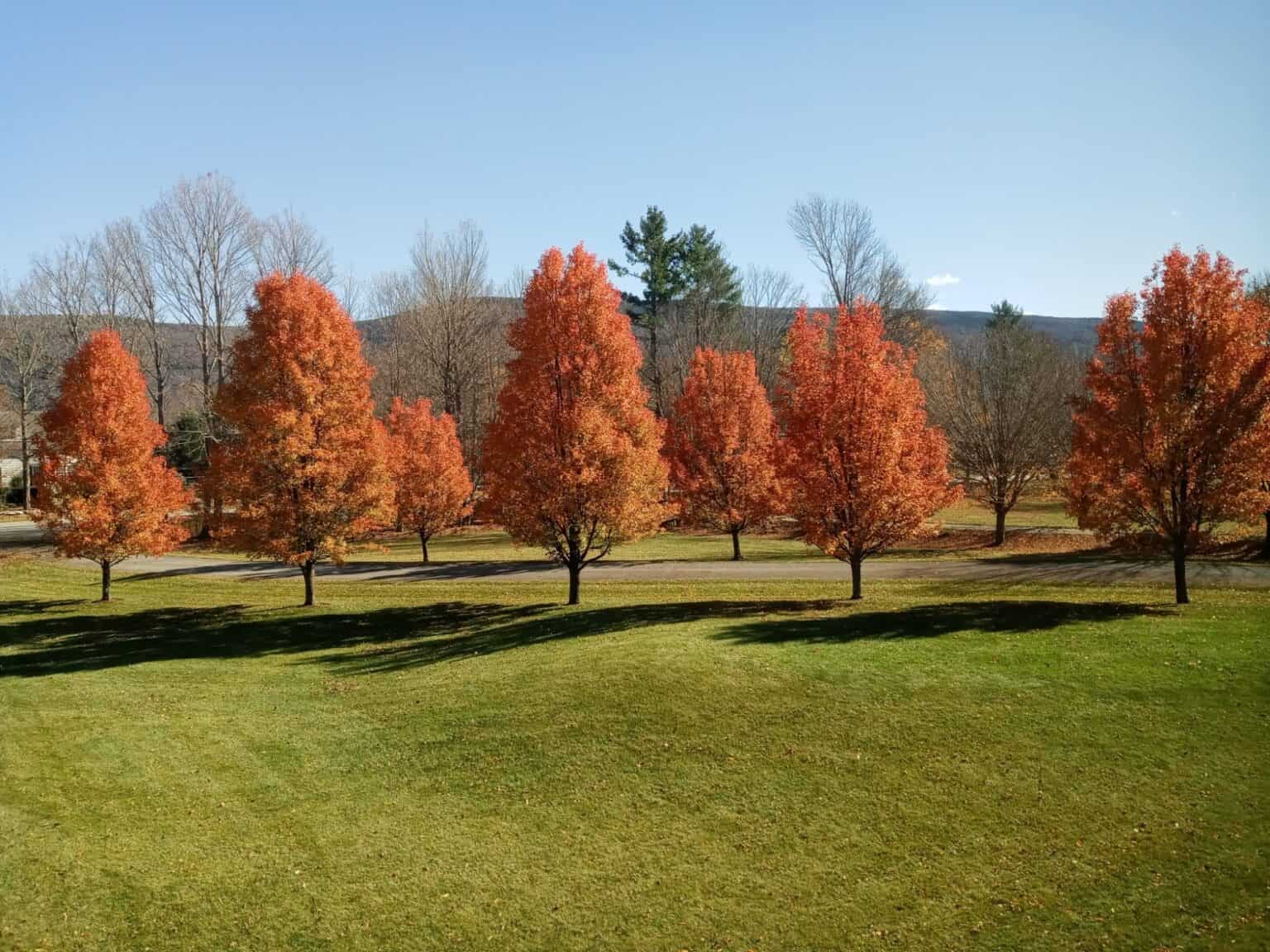 Foliage Report | Vermont.com
